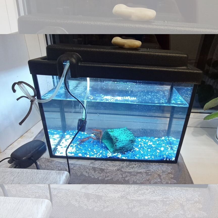 Аквариум с освещением