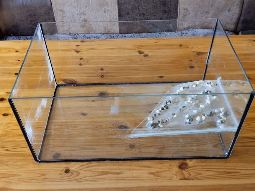 Аквариум для красноухой черепахи