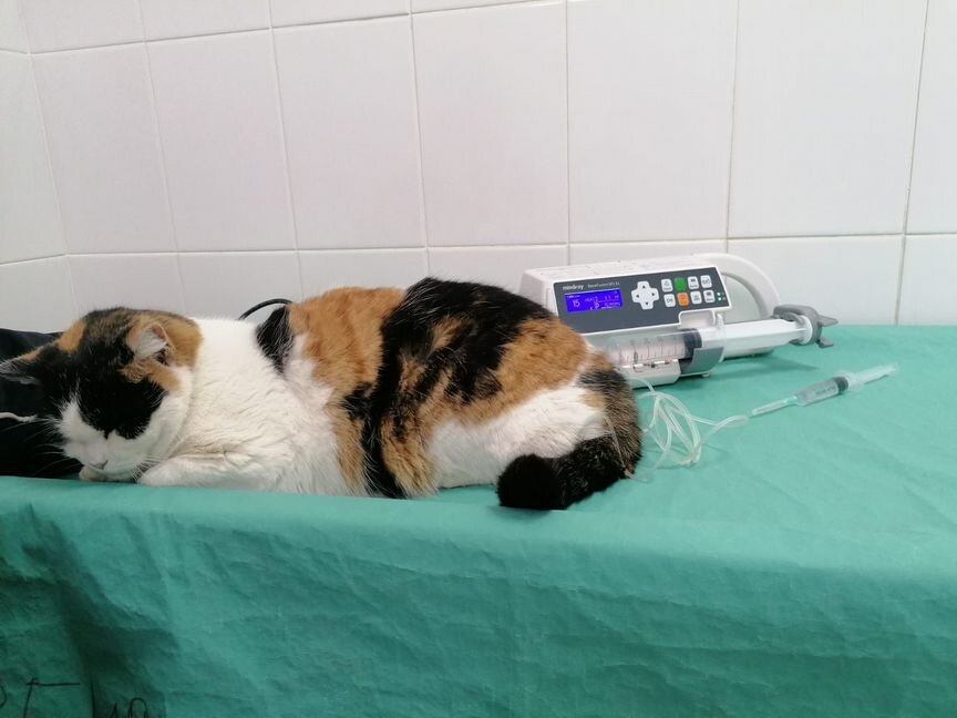 Доброе дело для старушки