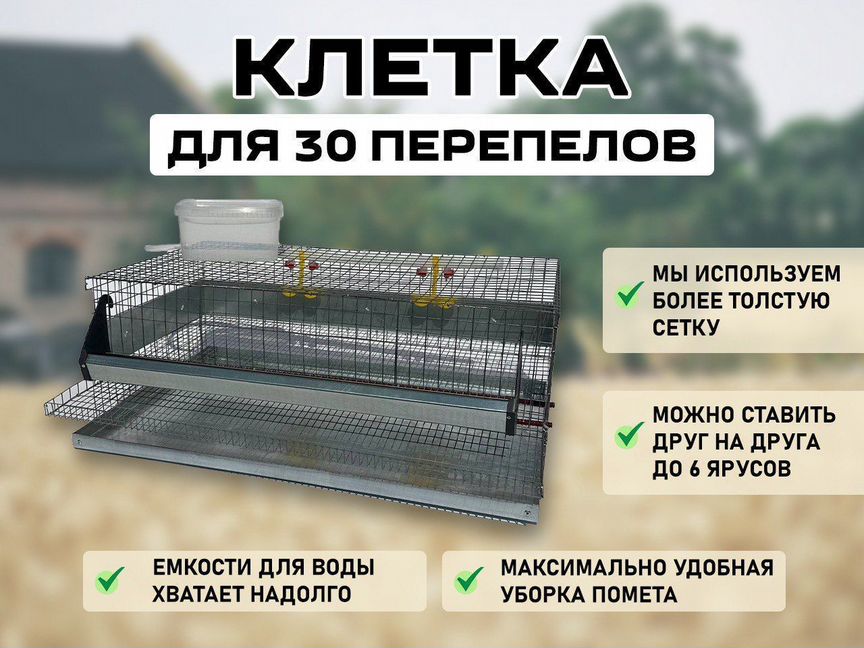 Клетка для перепелов на 30 голов