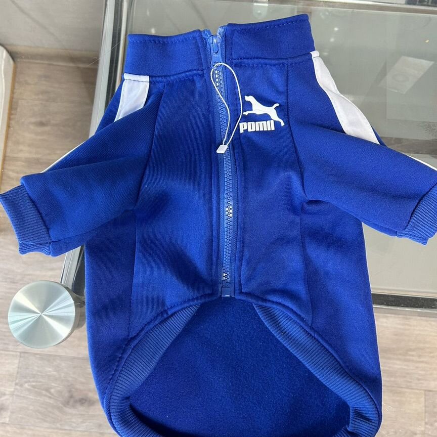 Костюм на замке для собаки