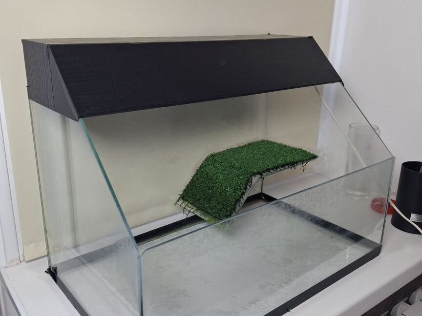 Акватеррариум для черепахи