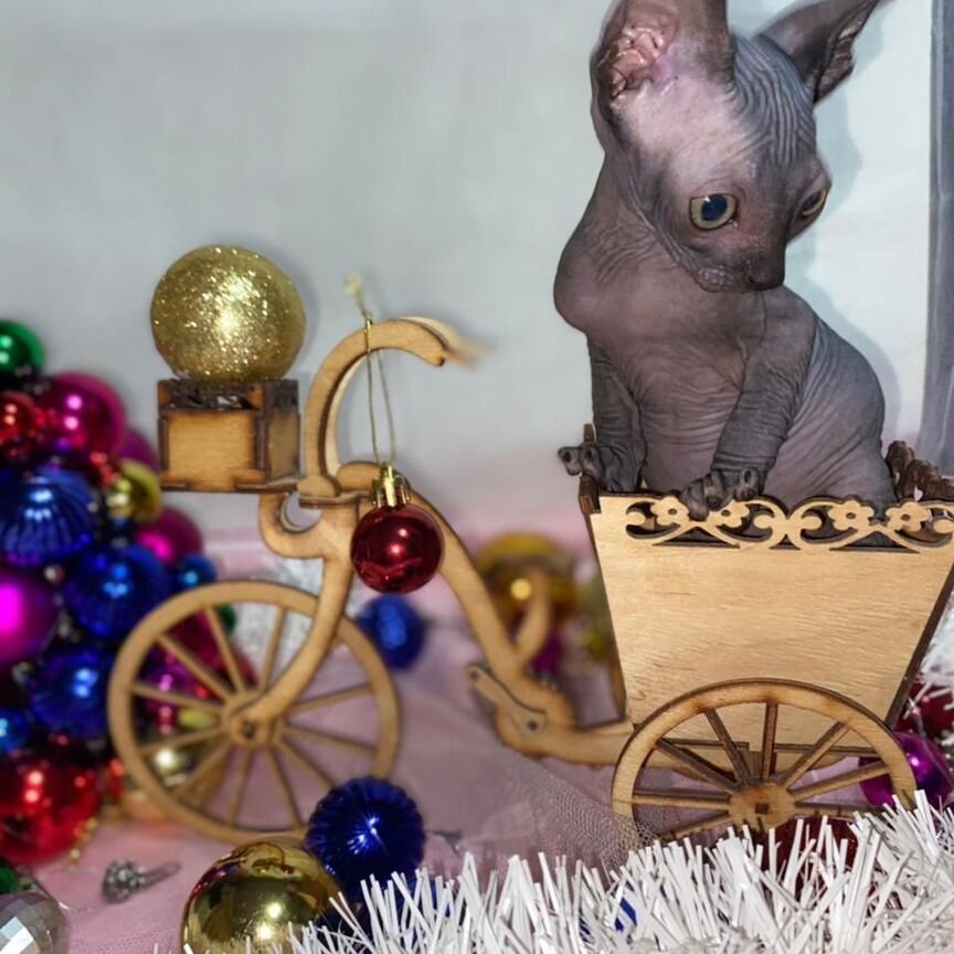 Подарочек под елочку