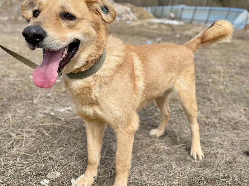 Глаза, полные доверия, для душевных разговоров