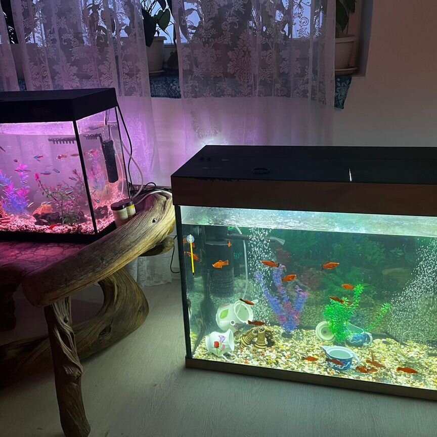 Аквариум пустой