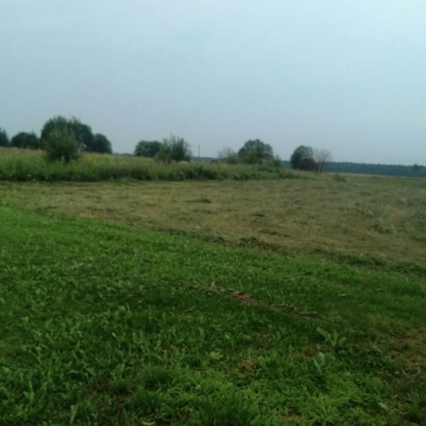 Сено, скошенное роторной косилкой, в валках