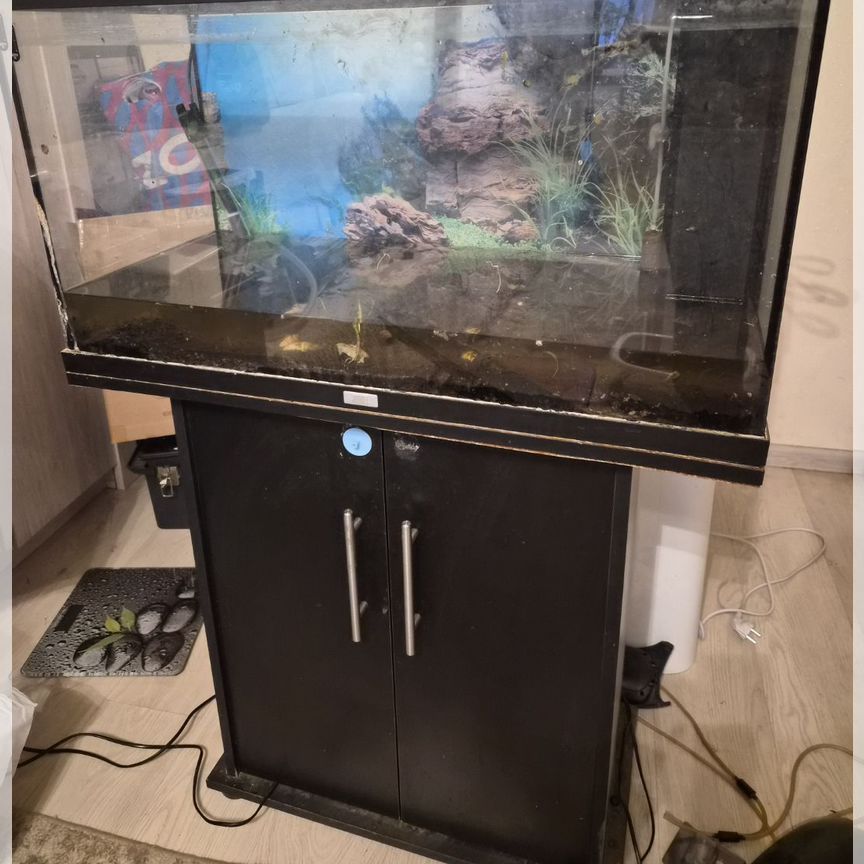 Аквариум 125 литров с тумбой juwel