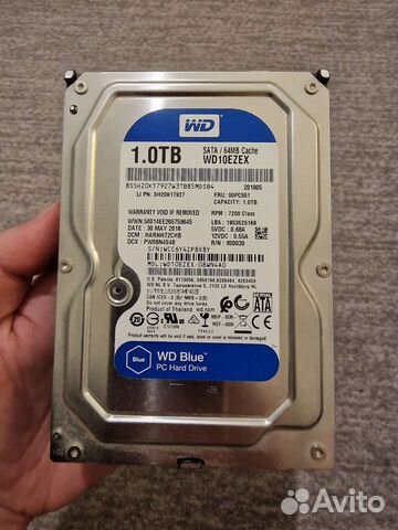 Жесткий диск 1 тб WD Blue wd10ezex купить в Нижнем Новгороде ...
