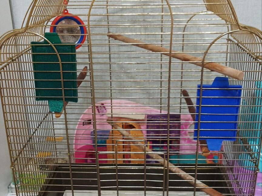 Клетка для попугая