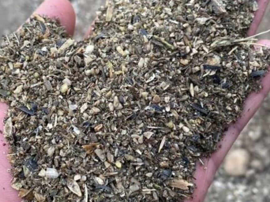 Отход подсолнечника семечки сепарационные