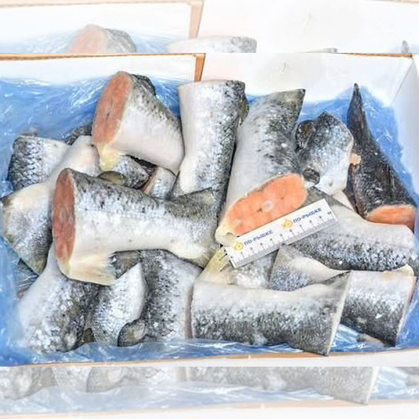 Продам хвосты семги