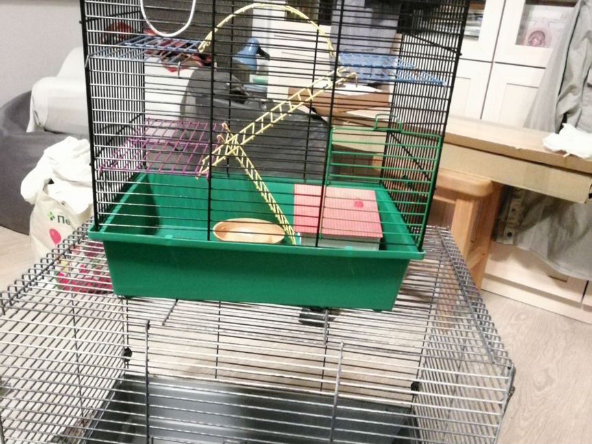 Две клетки для грызунов