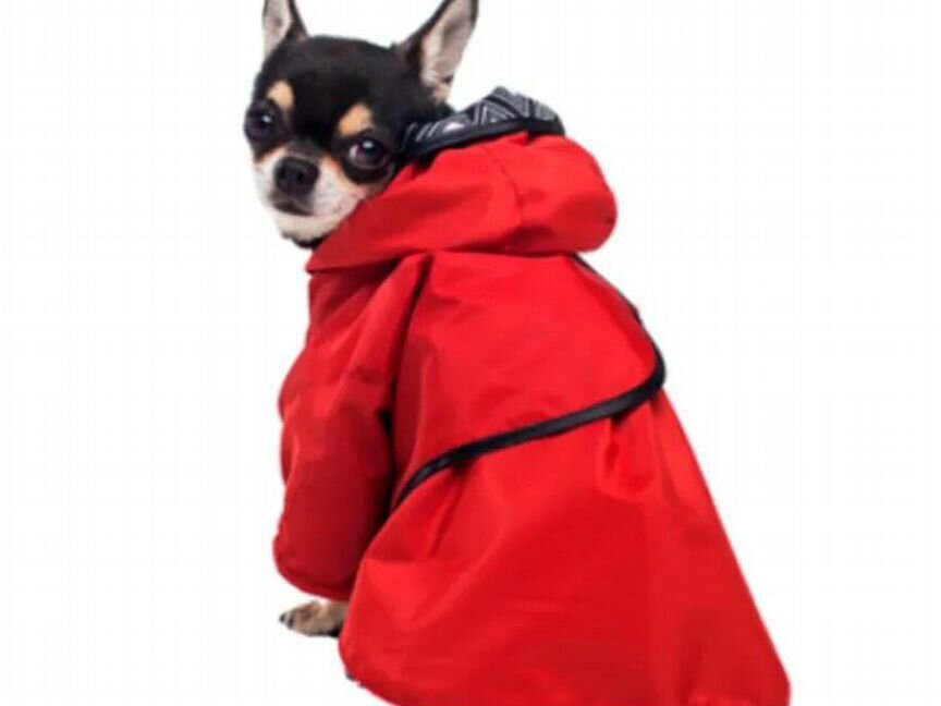 Одежда DogVille плащ 30230Lд с капюшоном, на кнопк