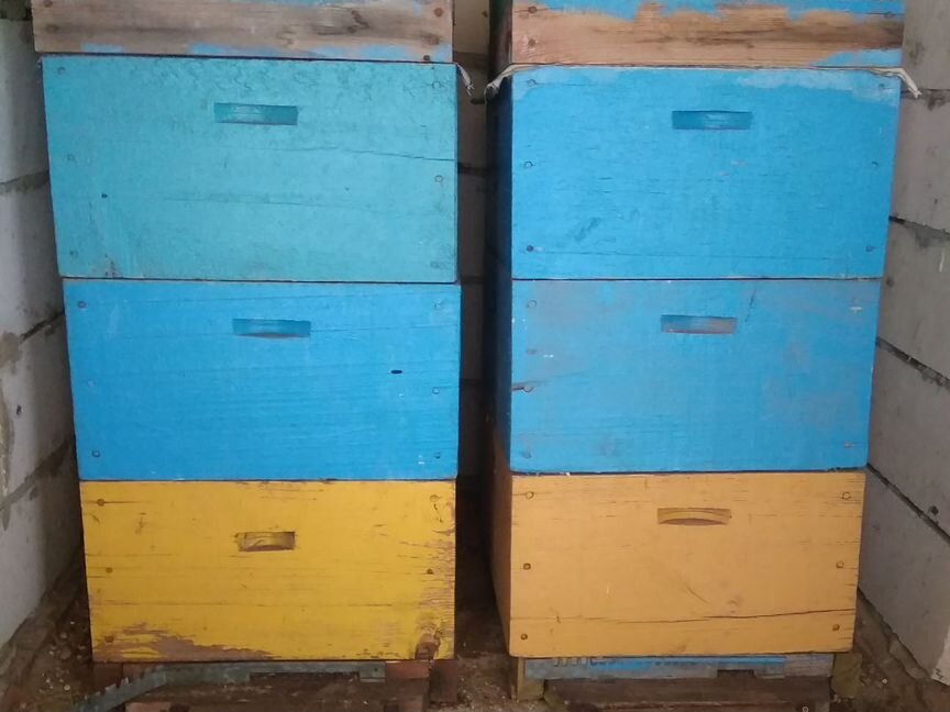 Ульи для пчел