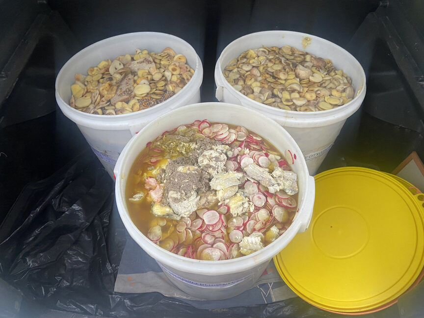 Пищевые отходы для животных свежее