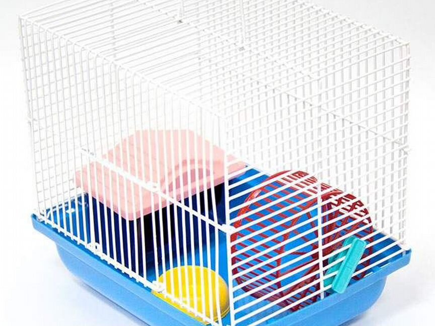 Аксессуары для животных