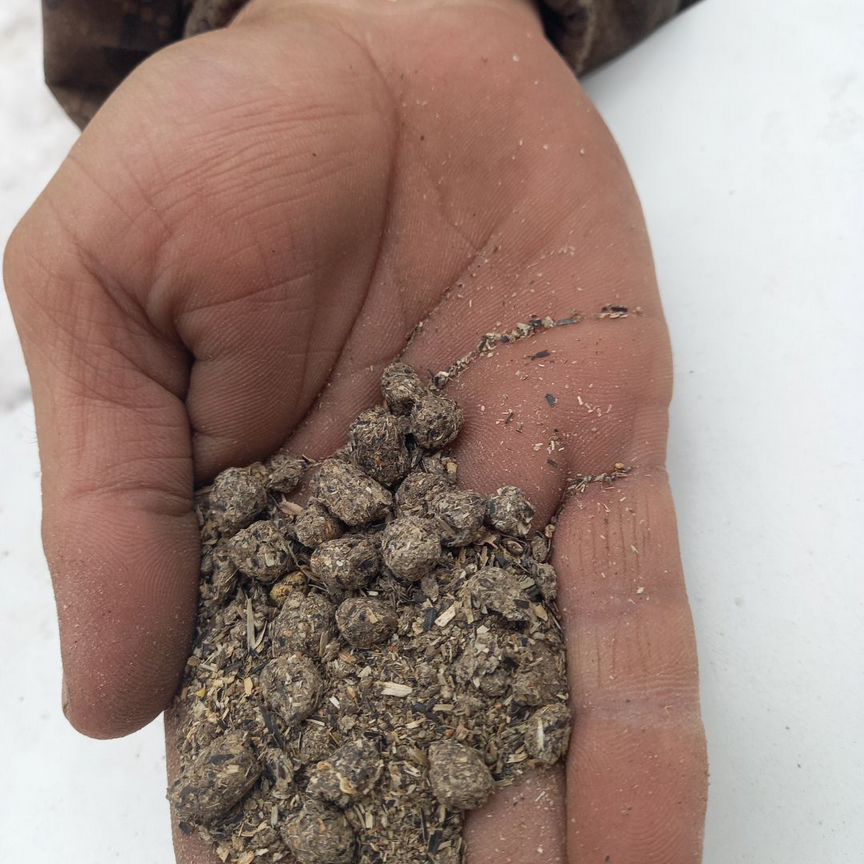 Шрот подсолнечный