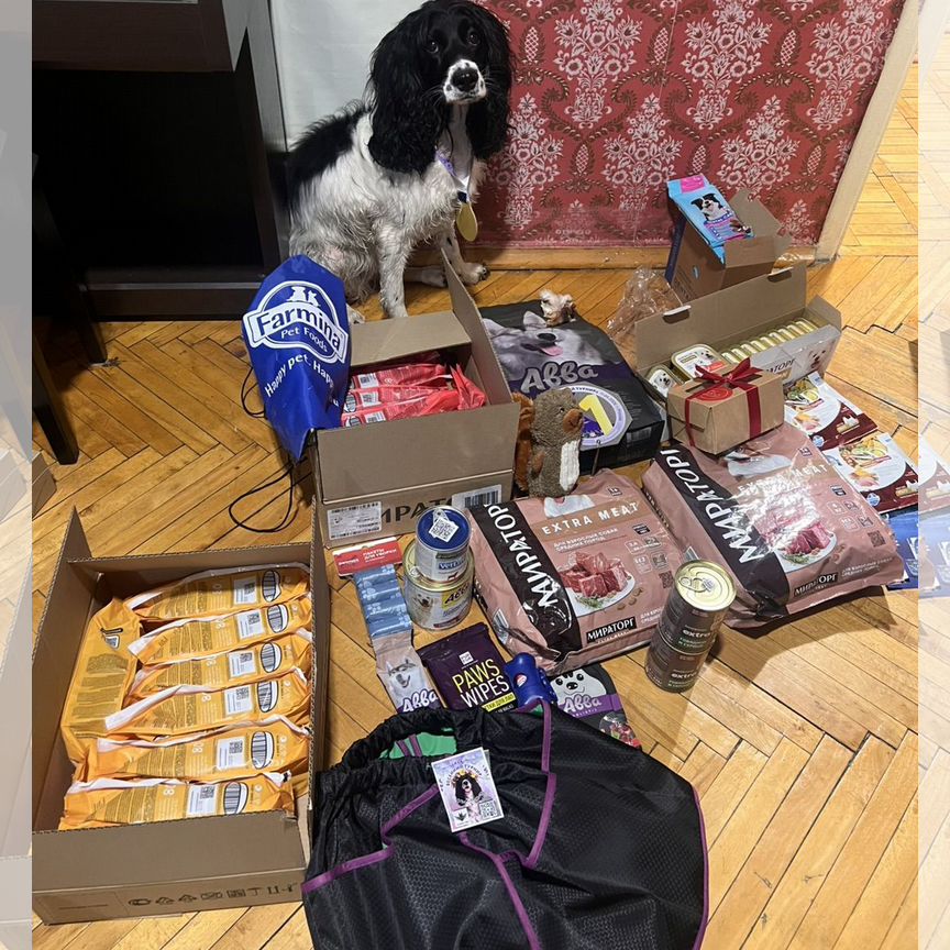 Корма и лакомства для собак abba и мираторг