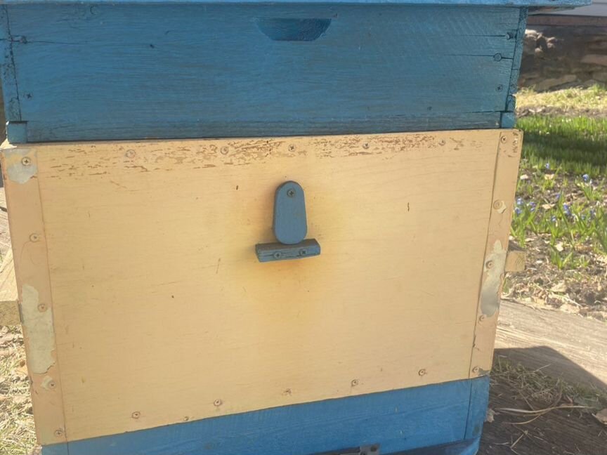 Ульи для пчел