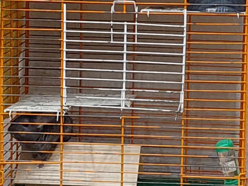 Клетка для грызунов 40:60:85