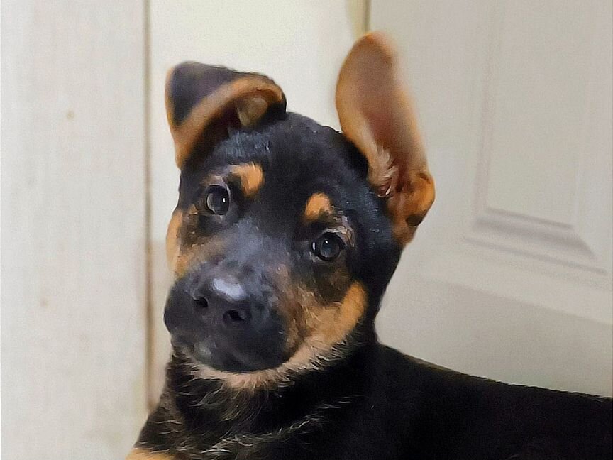 Гром ищет дом