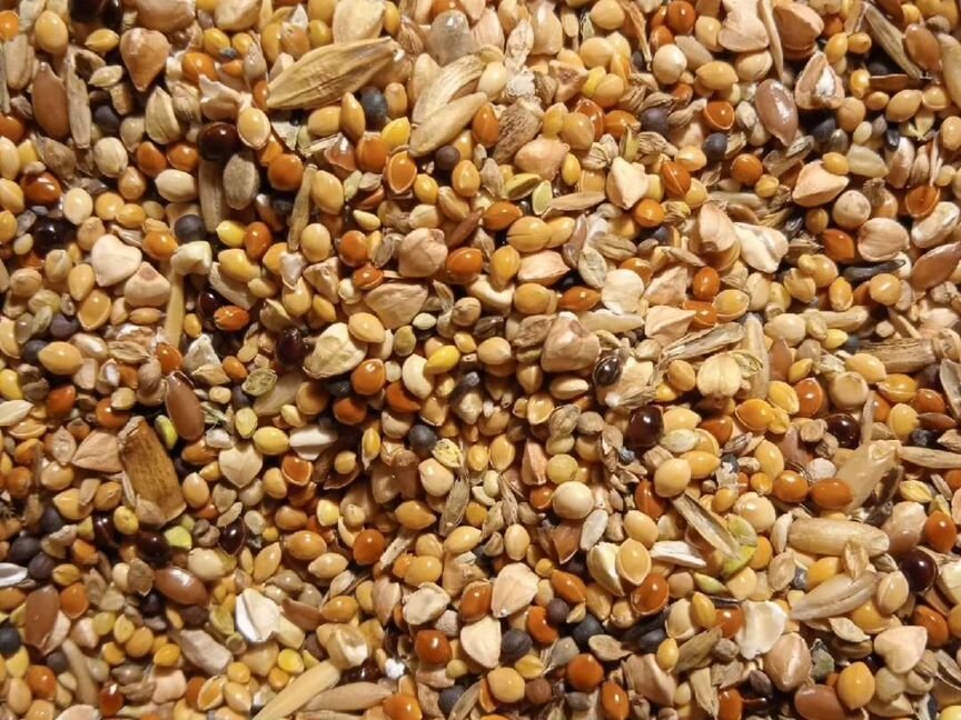 Корм для грызунов