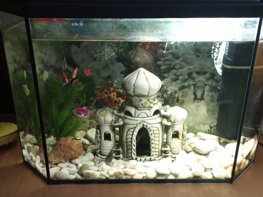 Аквариум с рыбками бу