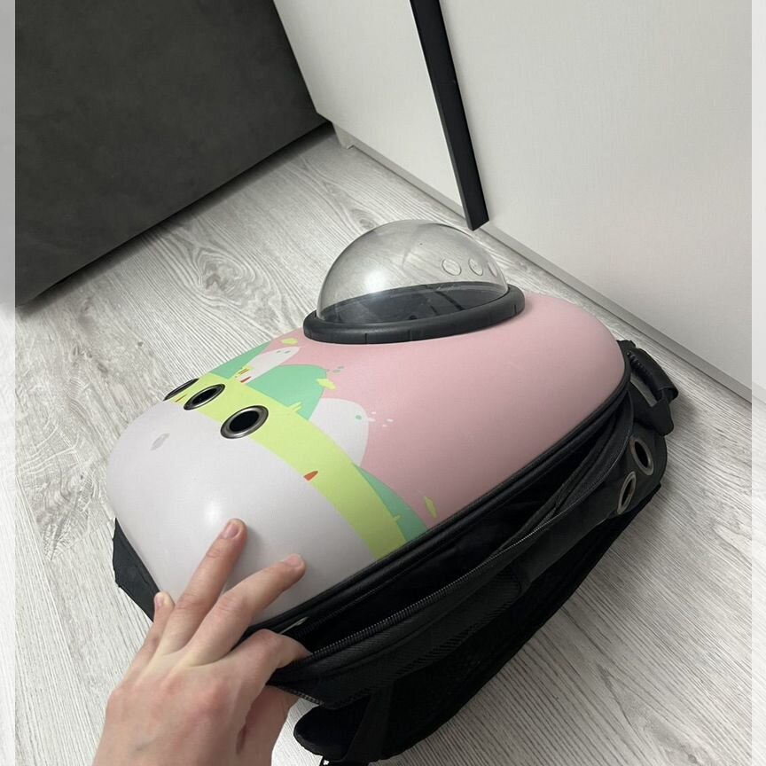 Сумка для кота