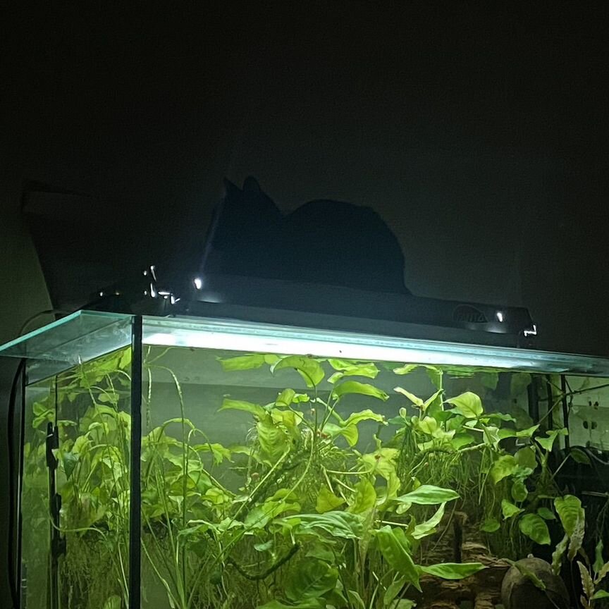 Аквариум подтекает