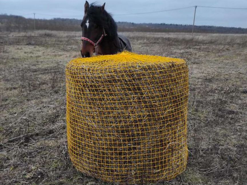 Рептух на рулон, медленная кормушка