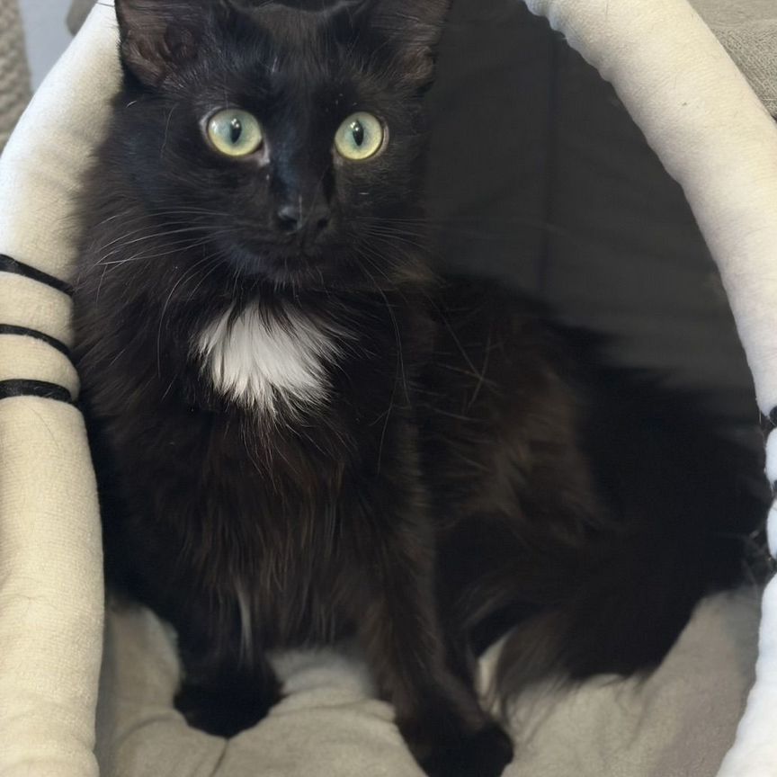 Нина в самые надёжные руки