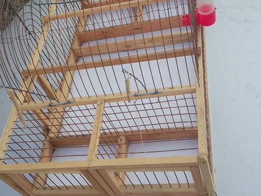 Клетка(западог)