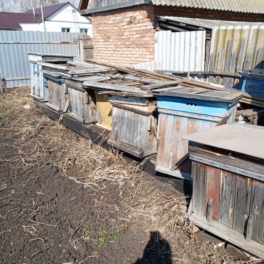 Ульи даданы