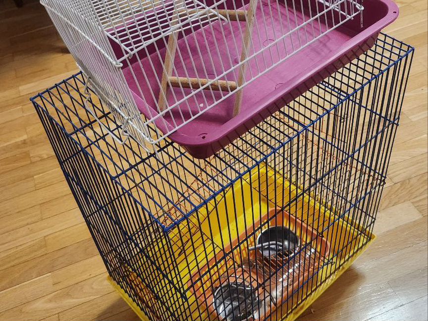 2 клетки для крыс