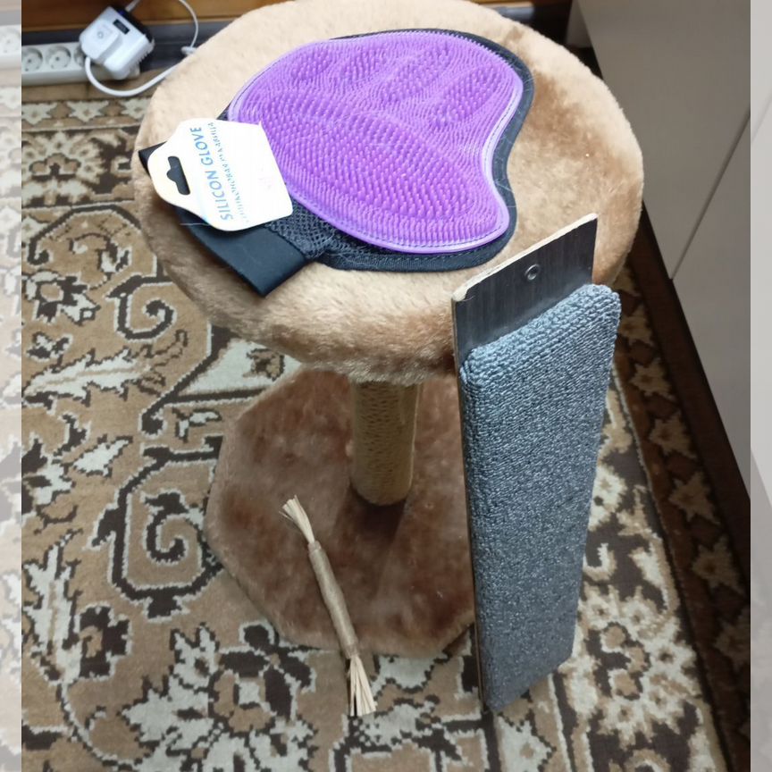 Когтеточка и гамак