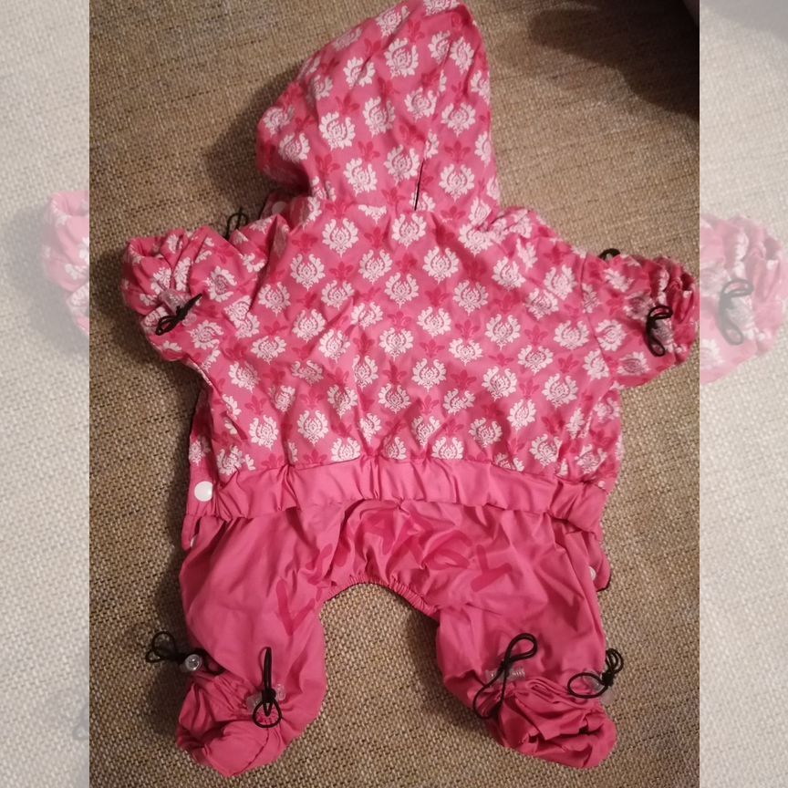 Одежда для собак