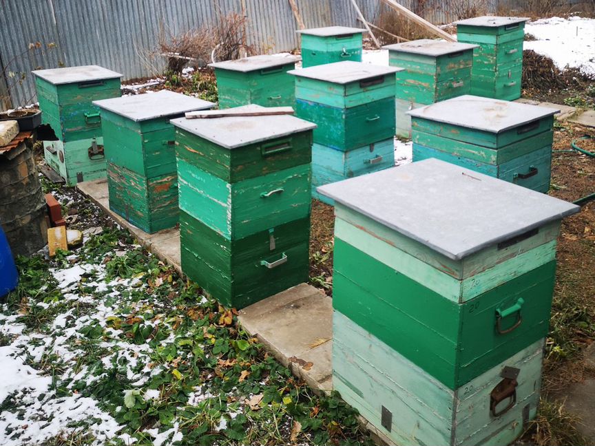 Ульи дадан 14 16 рамок