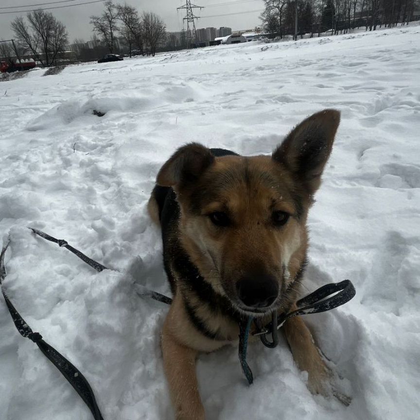 Джем все еще верит в чудо
