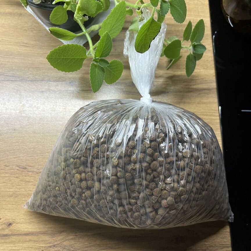 Корм для кошек