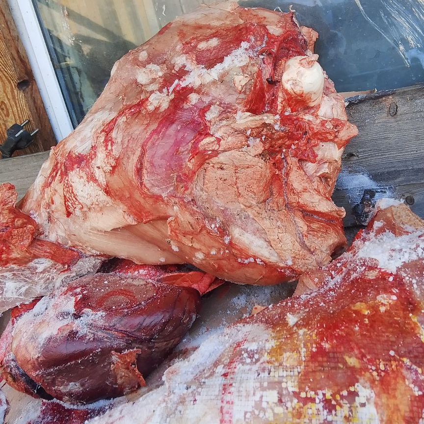 Телятина на корм собакам