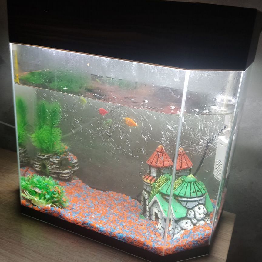 Аквариумн С Рыбками