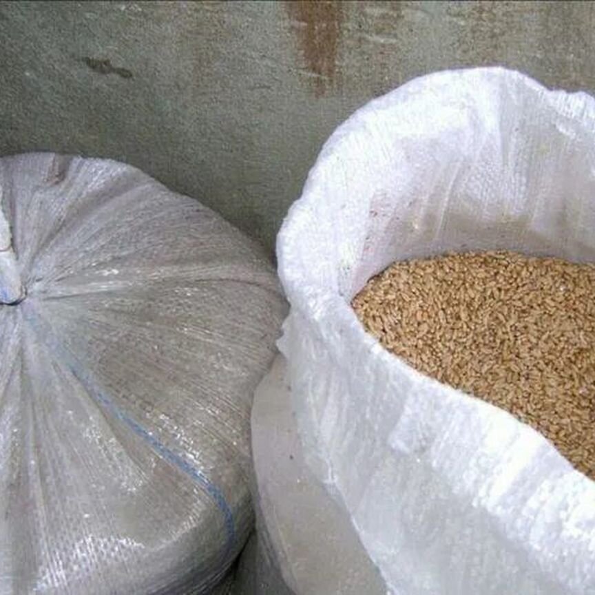 Пшеница в мешках