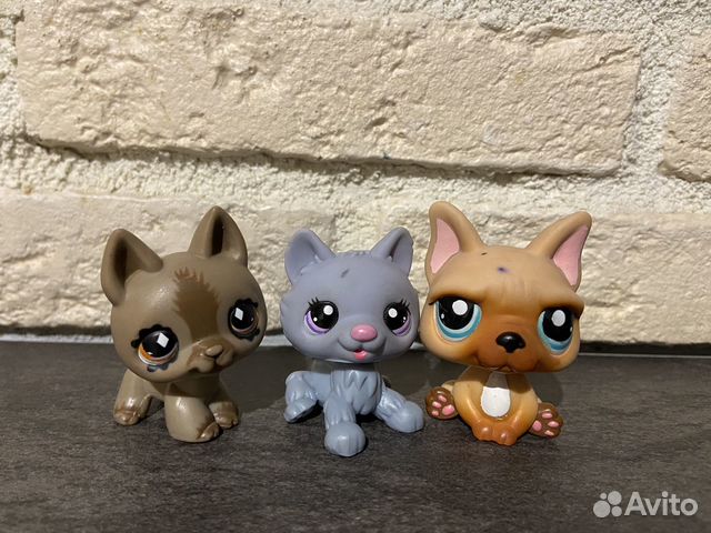 Littlest Pet Shop LPS собаки купить в Нижнем Новгороде | Личные вещи ...