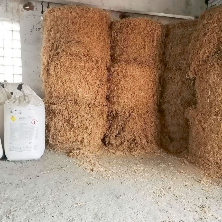 Солома гороховая