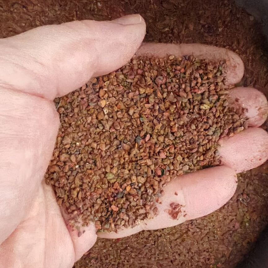 Грунт JBL Manado