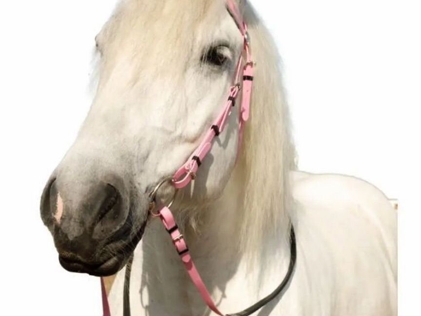 Уздечка для пони