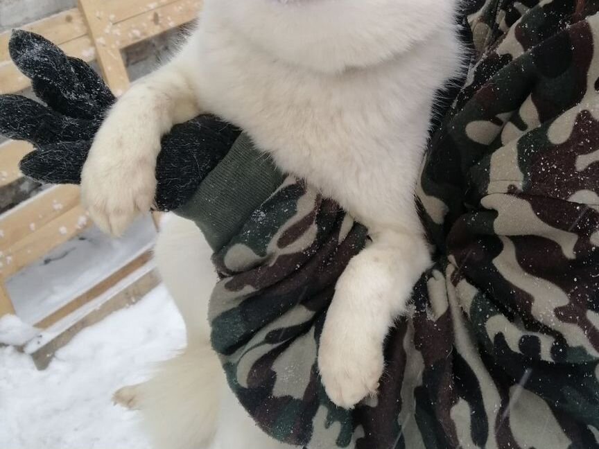 Мини прелесть