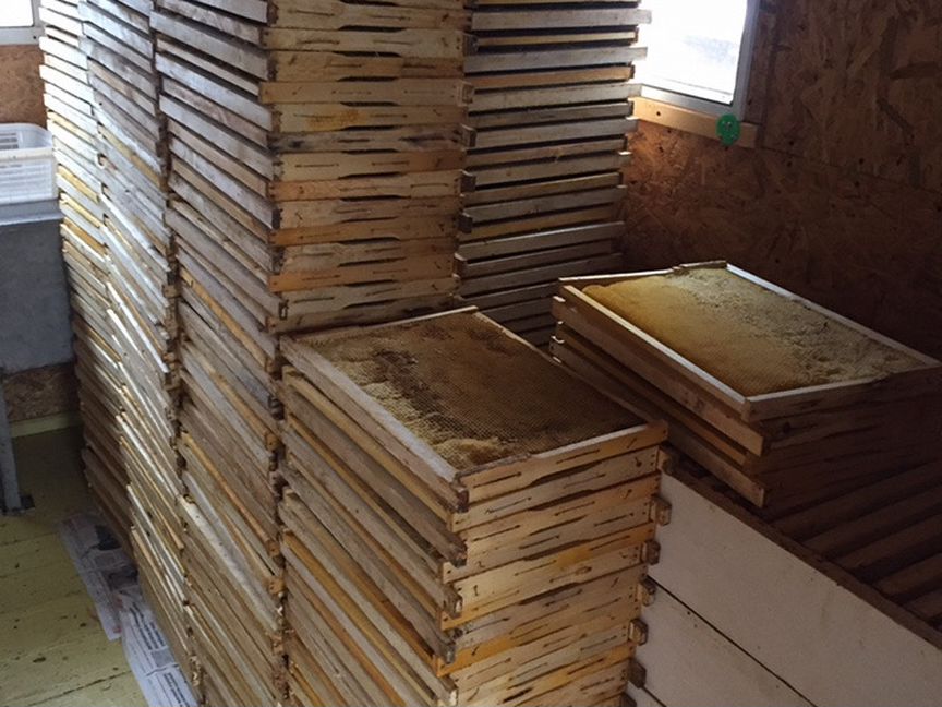 Сушь дадановская,магазинная,сотовый мёд