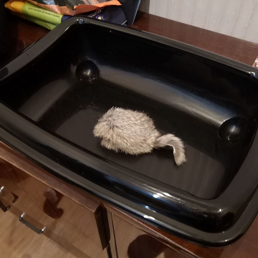 Лоток для кошек PetTails