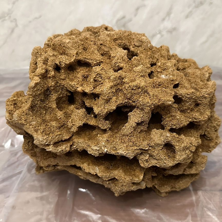 Песчанник для аквариума